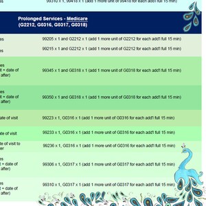 2023 E&M Prolonged Time Cheat Sheet Simply Peacock - Etsy