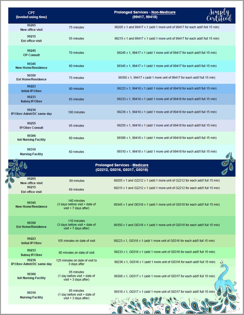 2023 E&M Prolonged Time Cheat Sheet Simply Peacock - Etsy