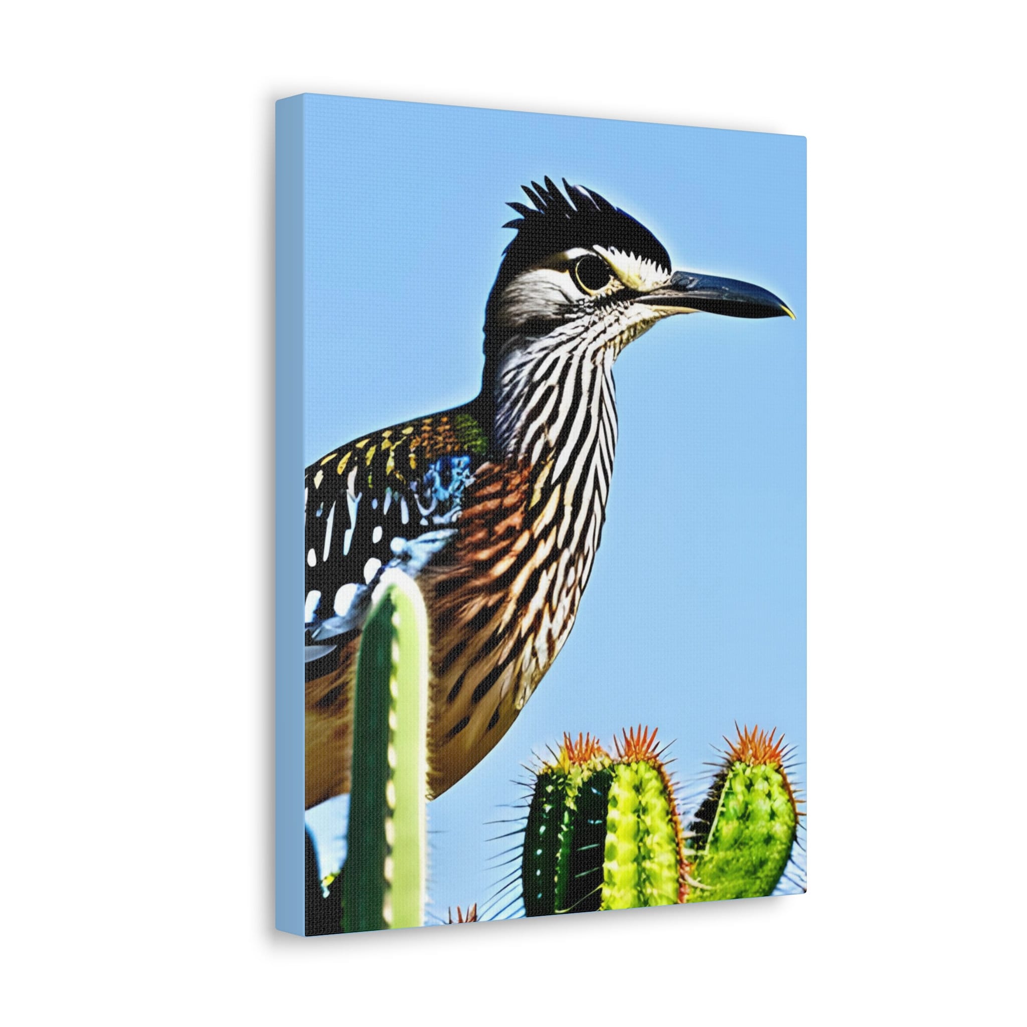 Desert Roadrunner Canvas Print | Arizona Desert Print | Desert Wildlife ...