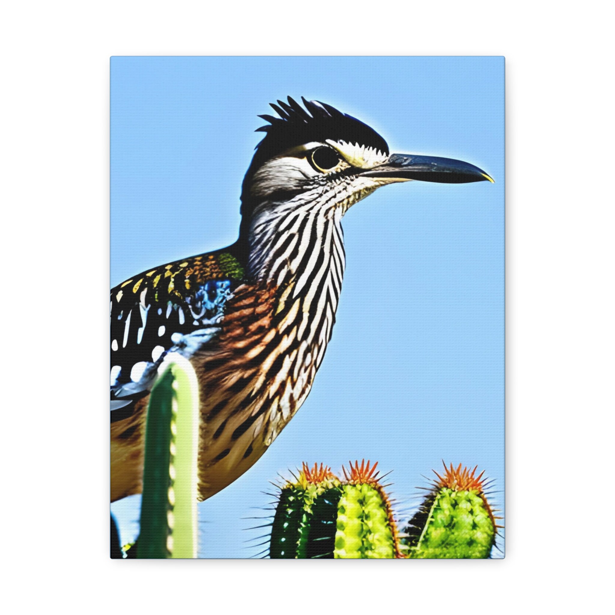 Desert Roadrunner Canvas Print | Arizona Desert Print | Desert Wildlife ...