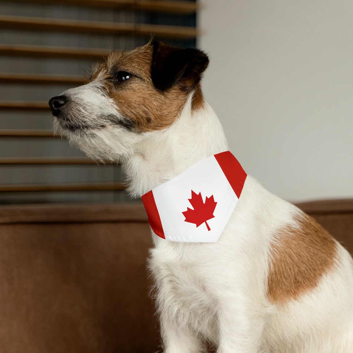 Canada Dog Bandana Collar | Canadian Flag Pet Bandana | Canadian Flag ...