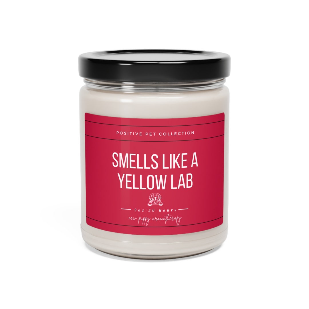 Smells Like a Yellow Lab Candle | Funny Yellow Lab Gift | New Puppy ...
