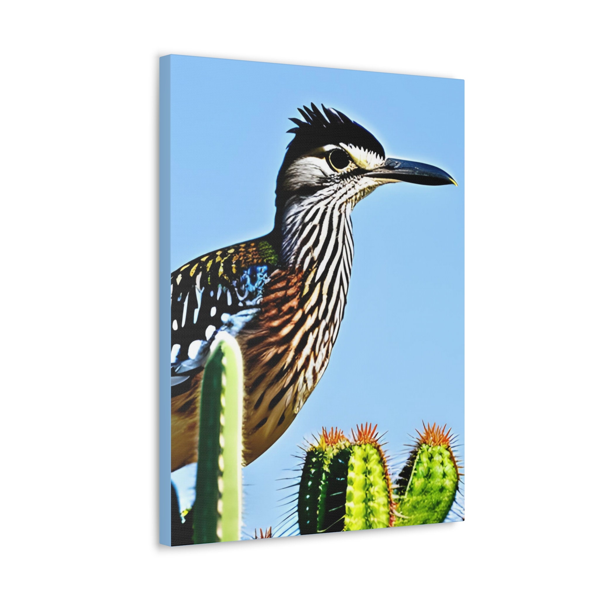 Desert Roadrunner Canvas Print | Arizona Desert Print | Desert Wildlife ...