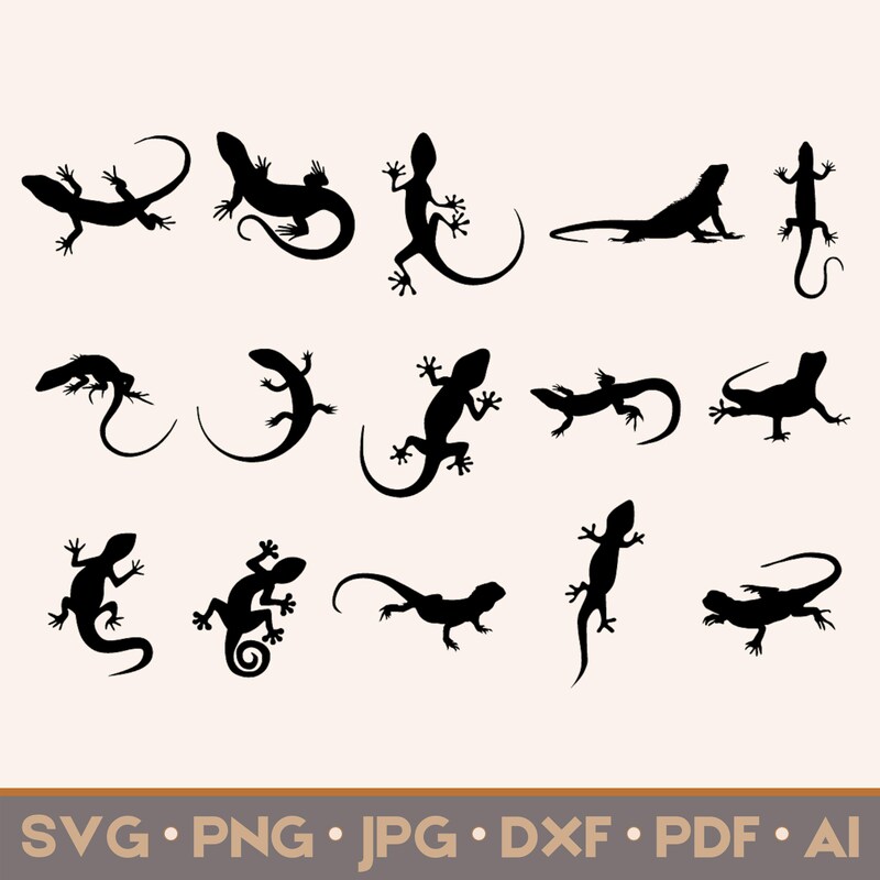 Lizard Vector - Etsy