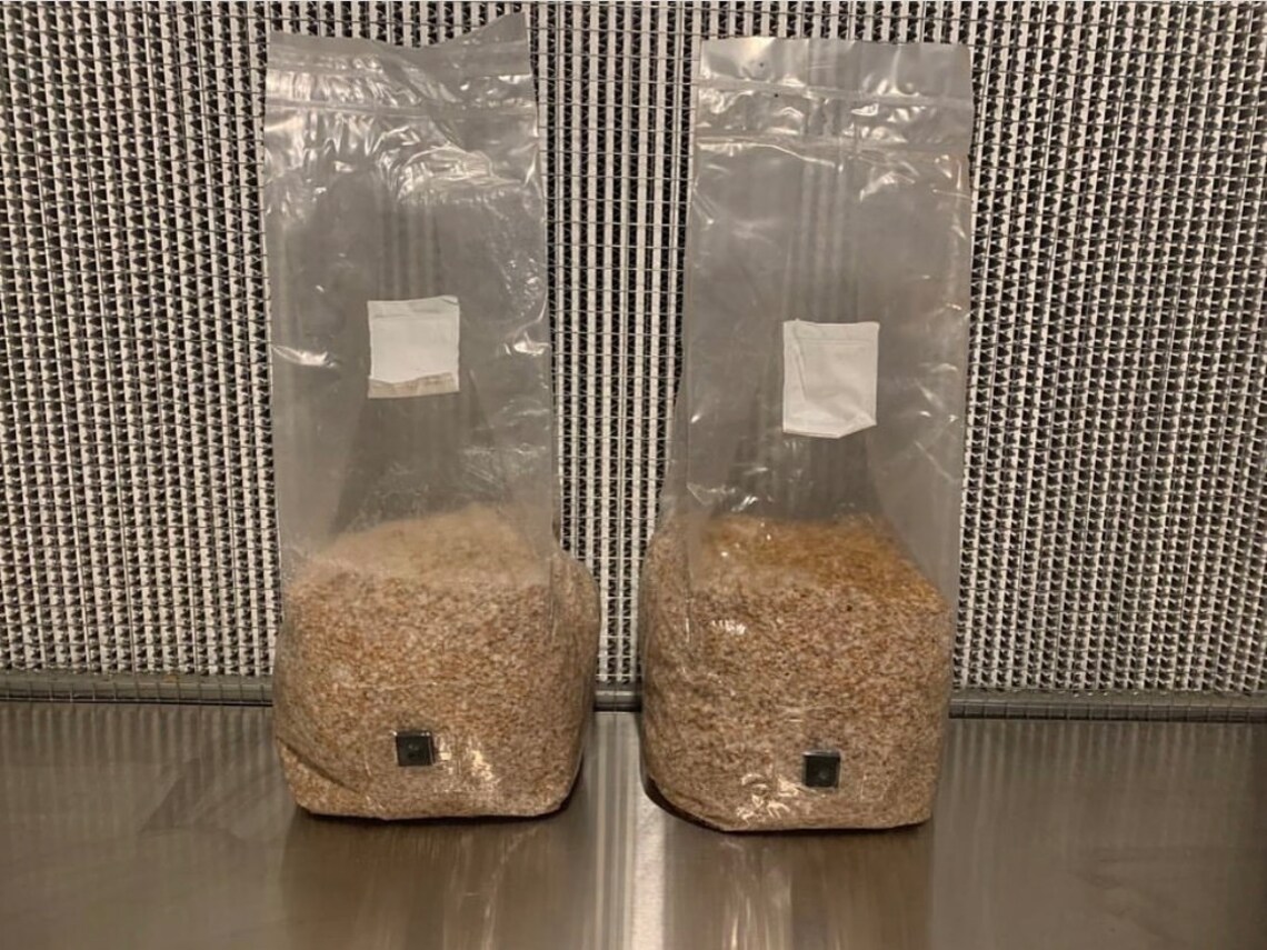 3.5lb White Millet Grain Spawn Bag Sterilized W/ 0.2 Micron Filter ...