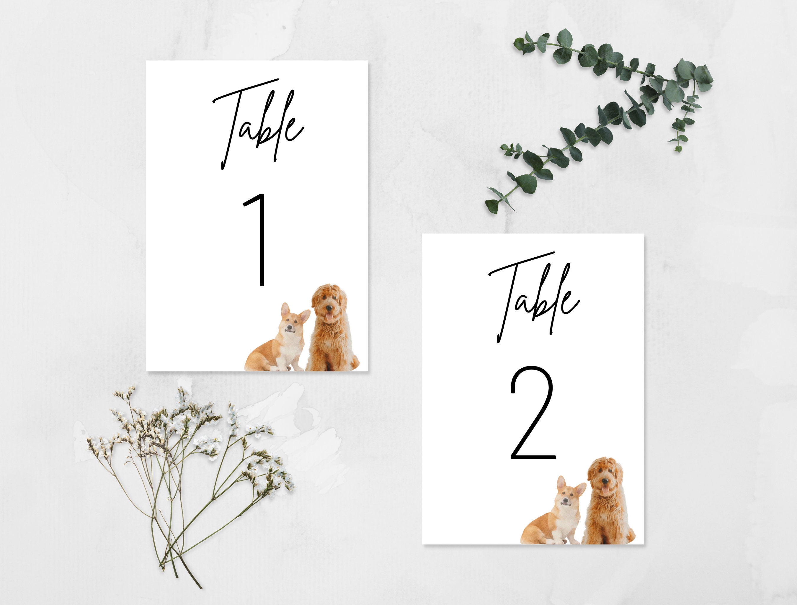 Minimalist Table Number Template, Personalized Pet Table Number, Table ...