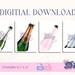 Champagne Bottle PNG | Champagne Print File| Birthday Cake, Elegant ...