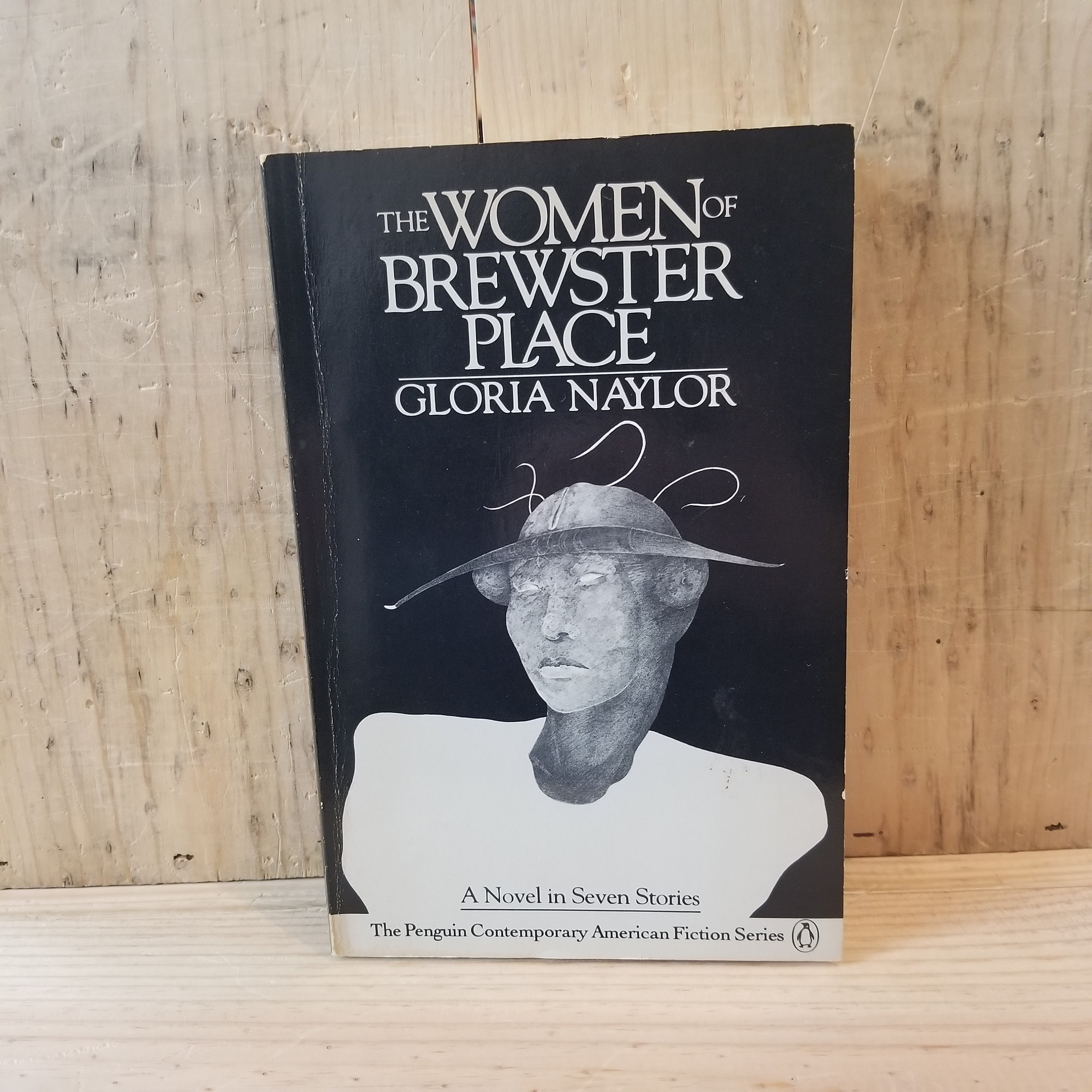 The Women Of Brewster Place Book