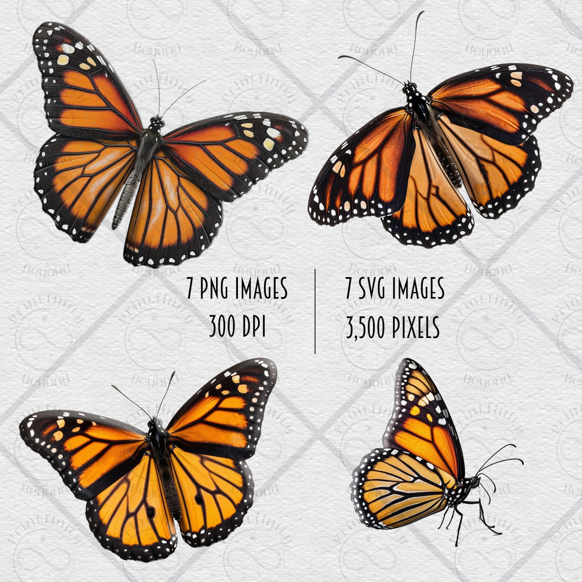 Monarch Butterflies Butter Flies Clipart Swarm Butterfly - Etsy