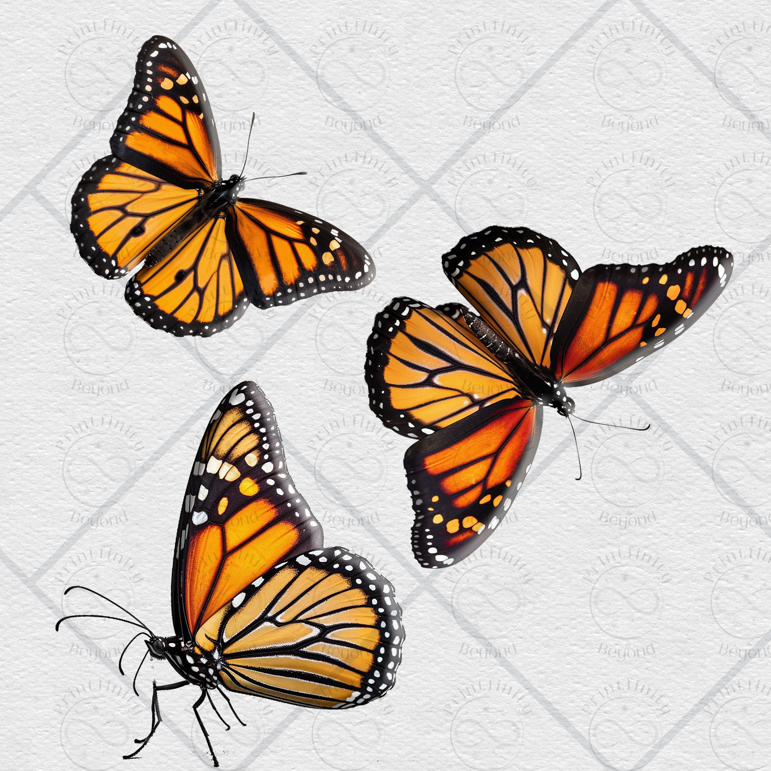 Monarch Butterflies Butter Flies Clipart Swarm Butterfly - Etsy