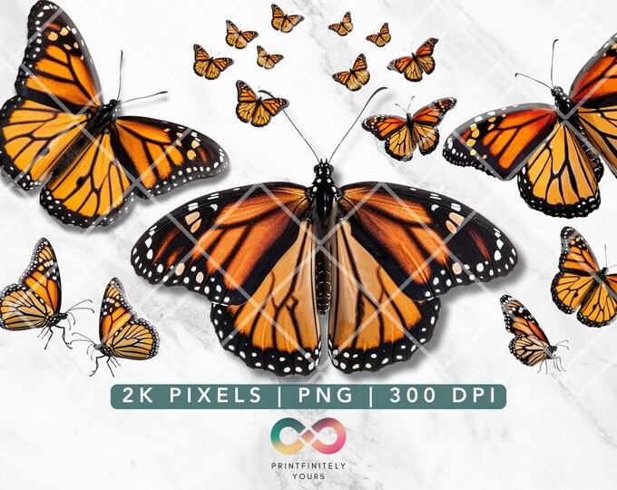 Monarch Butterfly Clipart | Watercolor Butterfly PNG | Floral Clipart ...