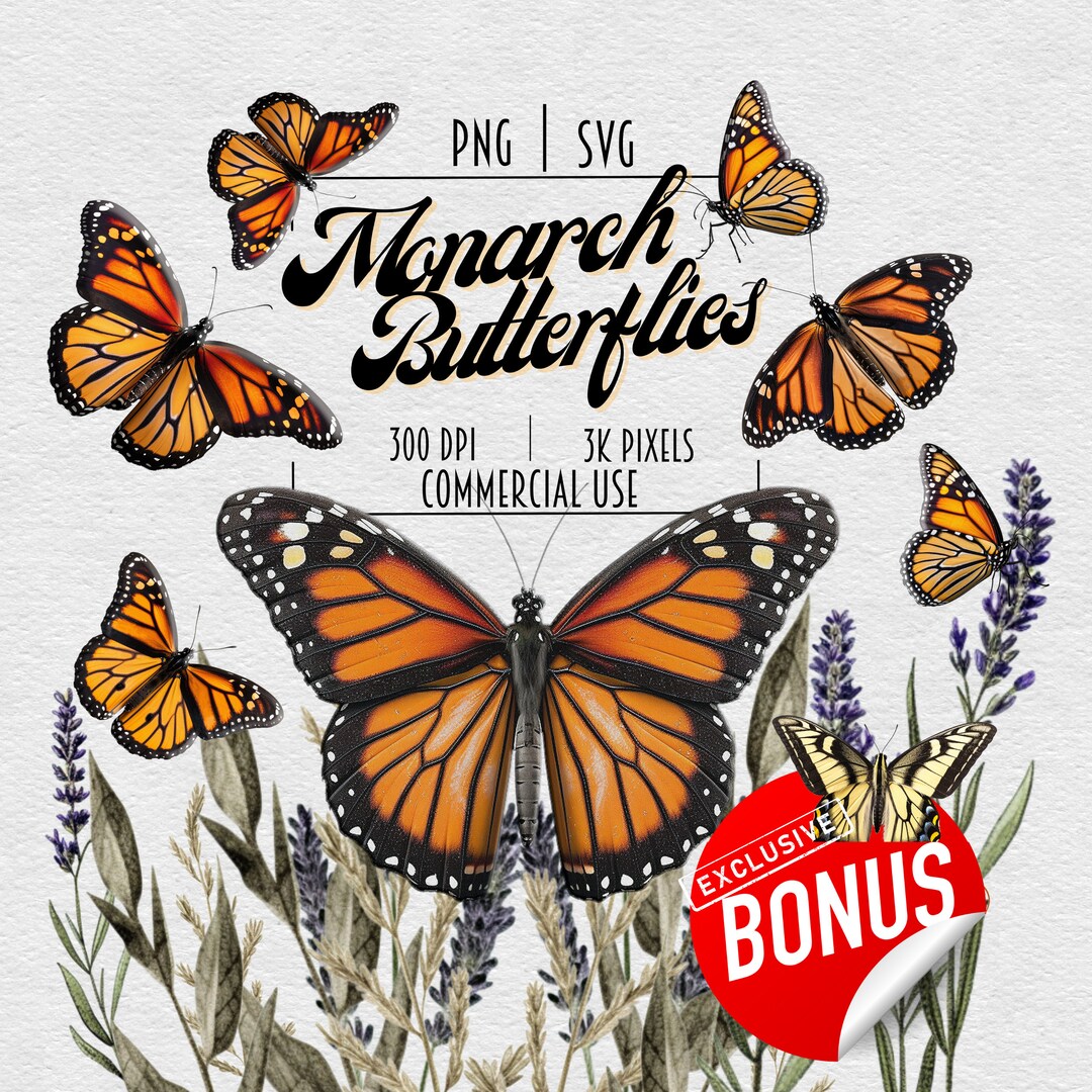 Monarch Butterflies Butter Flies Clipart Swarm Butterfly - Etsy