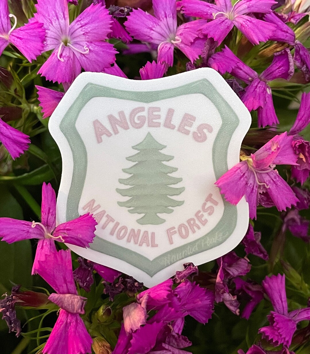 ANF Badge Sticker - Etsy