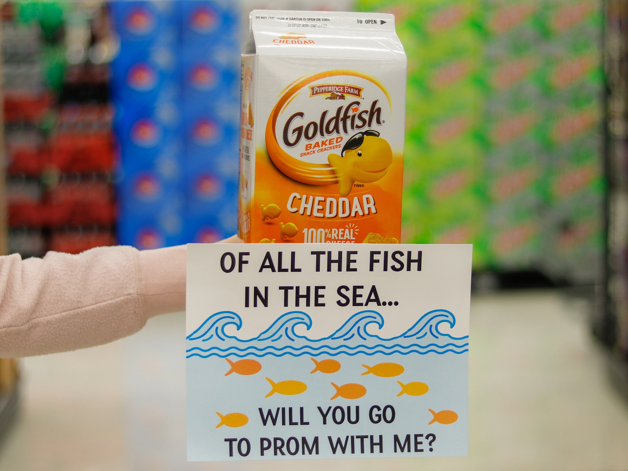 Prom Promposal Idea Poster of All the Fish in the Sea - Etsy