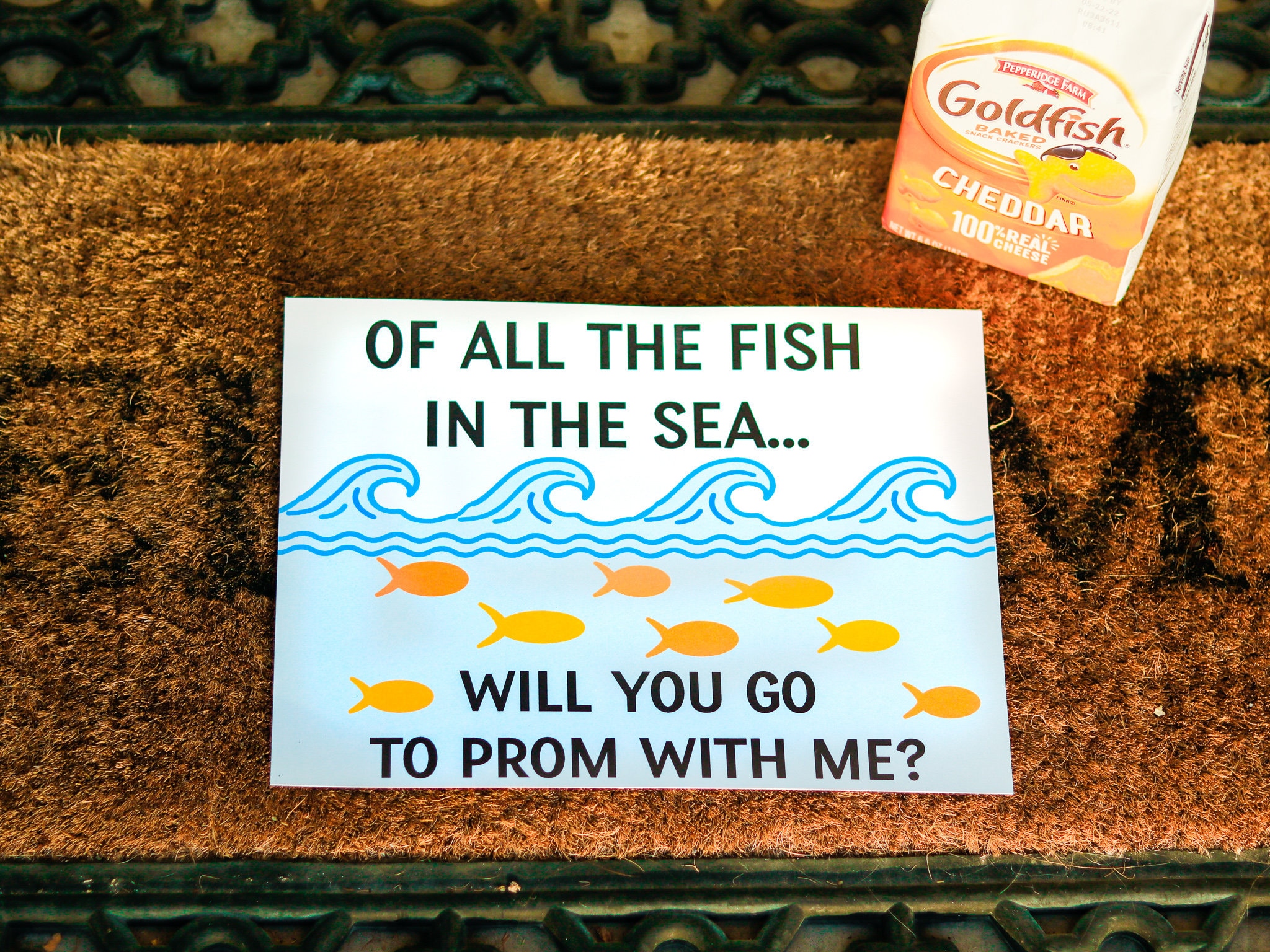 Prom Promposal Idea Poster of All the Fish in the Sea - Etsy