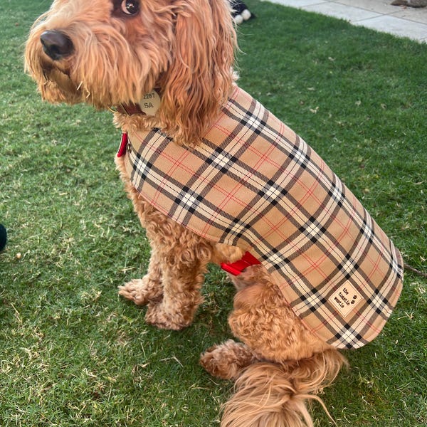 Burberry Dog Jacket - Etsy