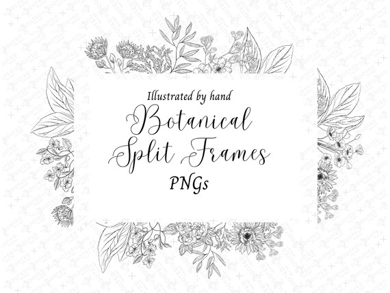 Botanical Line Art Hand Drawn Split Frames Pngs & Svgs - Etsy