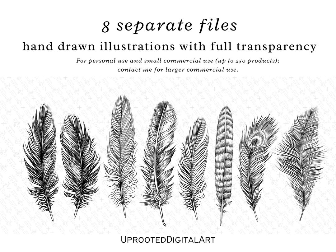Feather Vector Feather SVG Feathers SVG Feather Clipart Feather Svgs ...