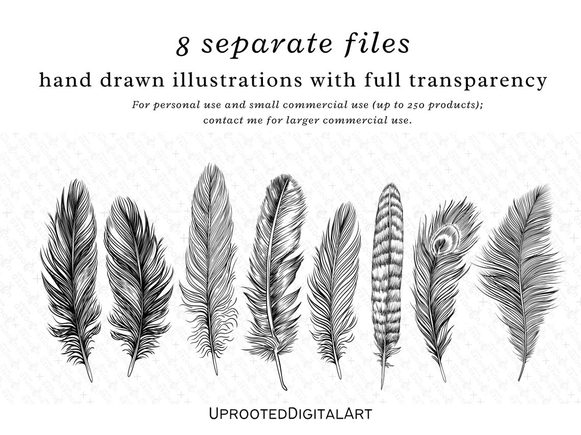 Feather SVG | Feathers SVG | Feather Clipart | Feather Svgs | Feather ...