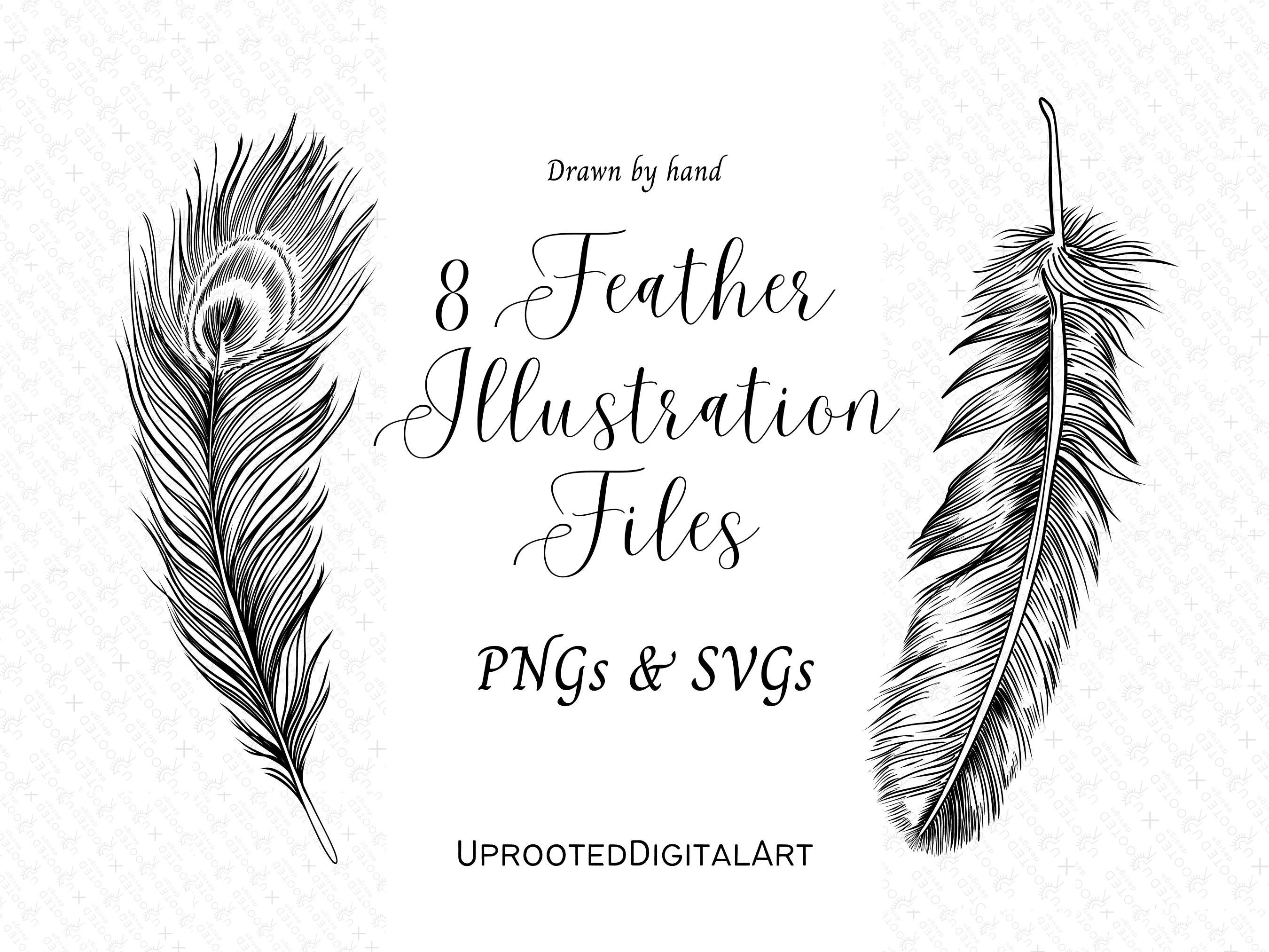 Feather Vector Feather Svg Feathers Svg Feather Clipart Feather Svgs Feathers Vector Feather Svg