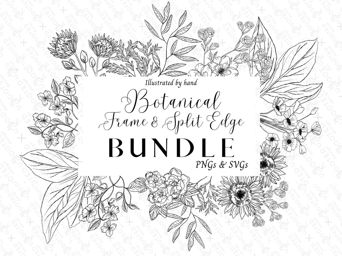 Botanical SVG + PNG BUNDLE | Line Art Botanical Frame & Split Frame ...