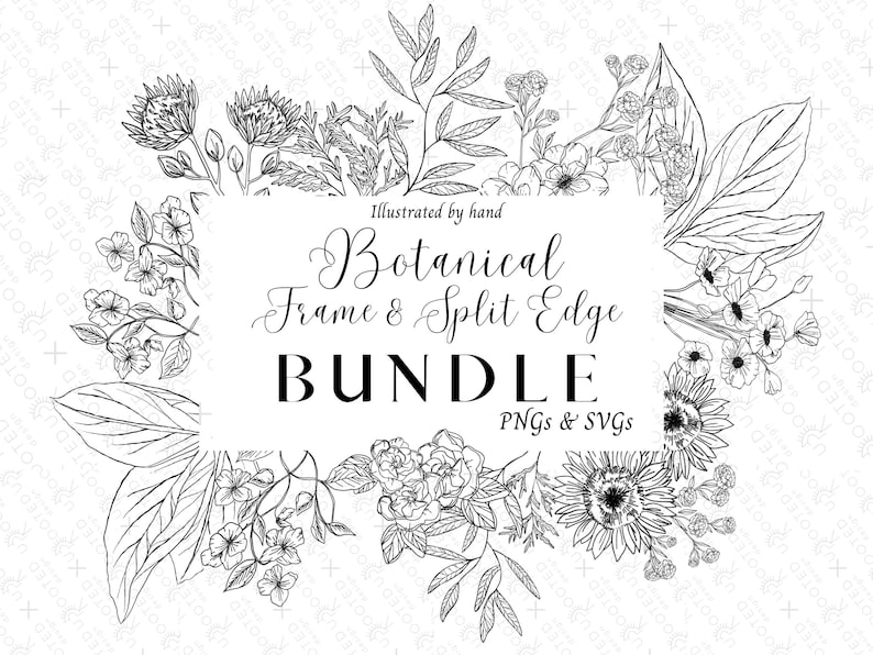 Botanical SVG + PNG BUNDLE | Line Art Botanical Frame & Split Frame ...