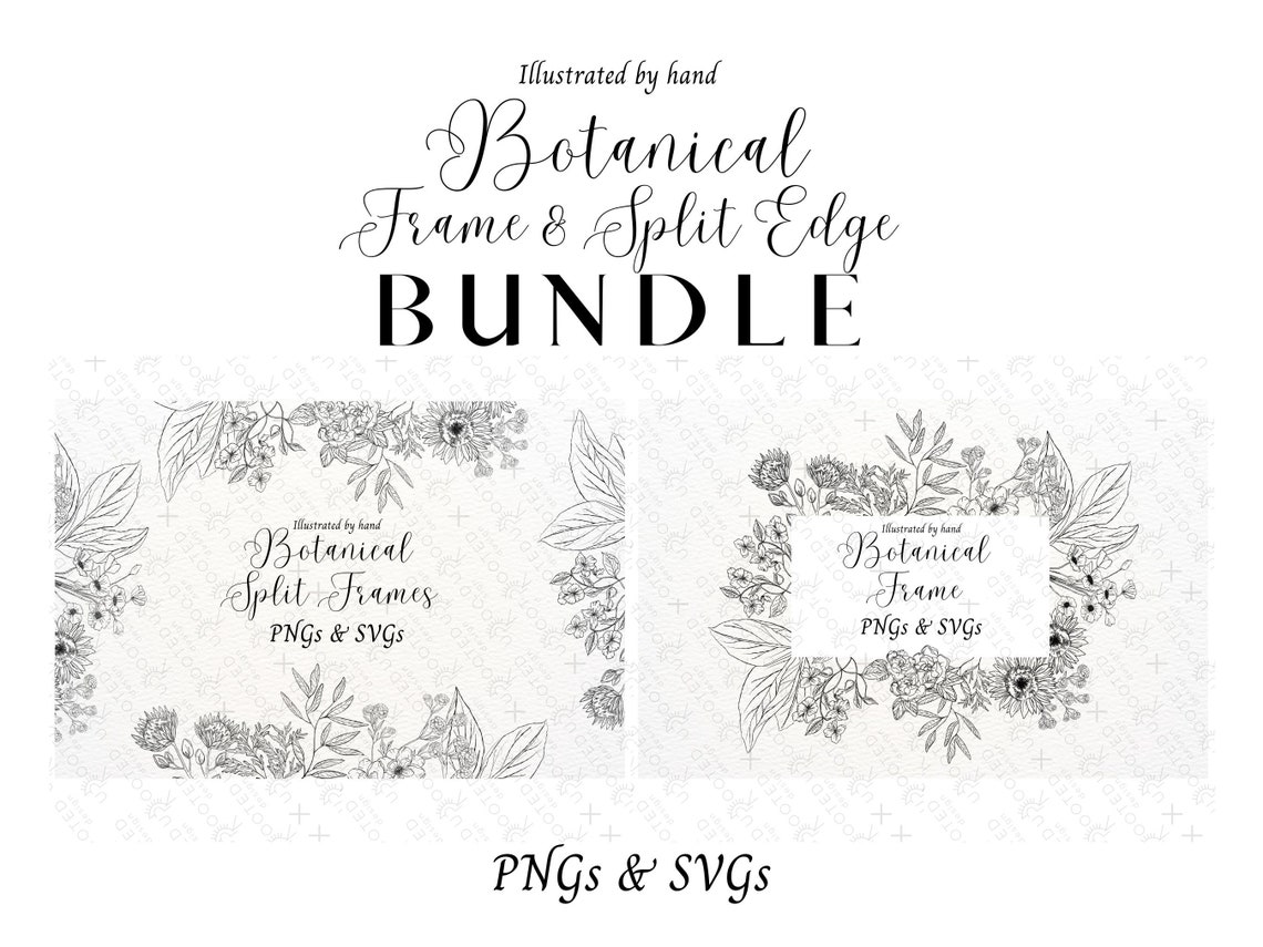 Botanical SVG PNG BUNDLE Line Art Botanical Frame & Split Frame Floral ...