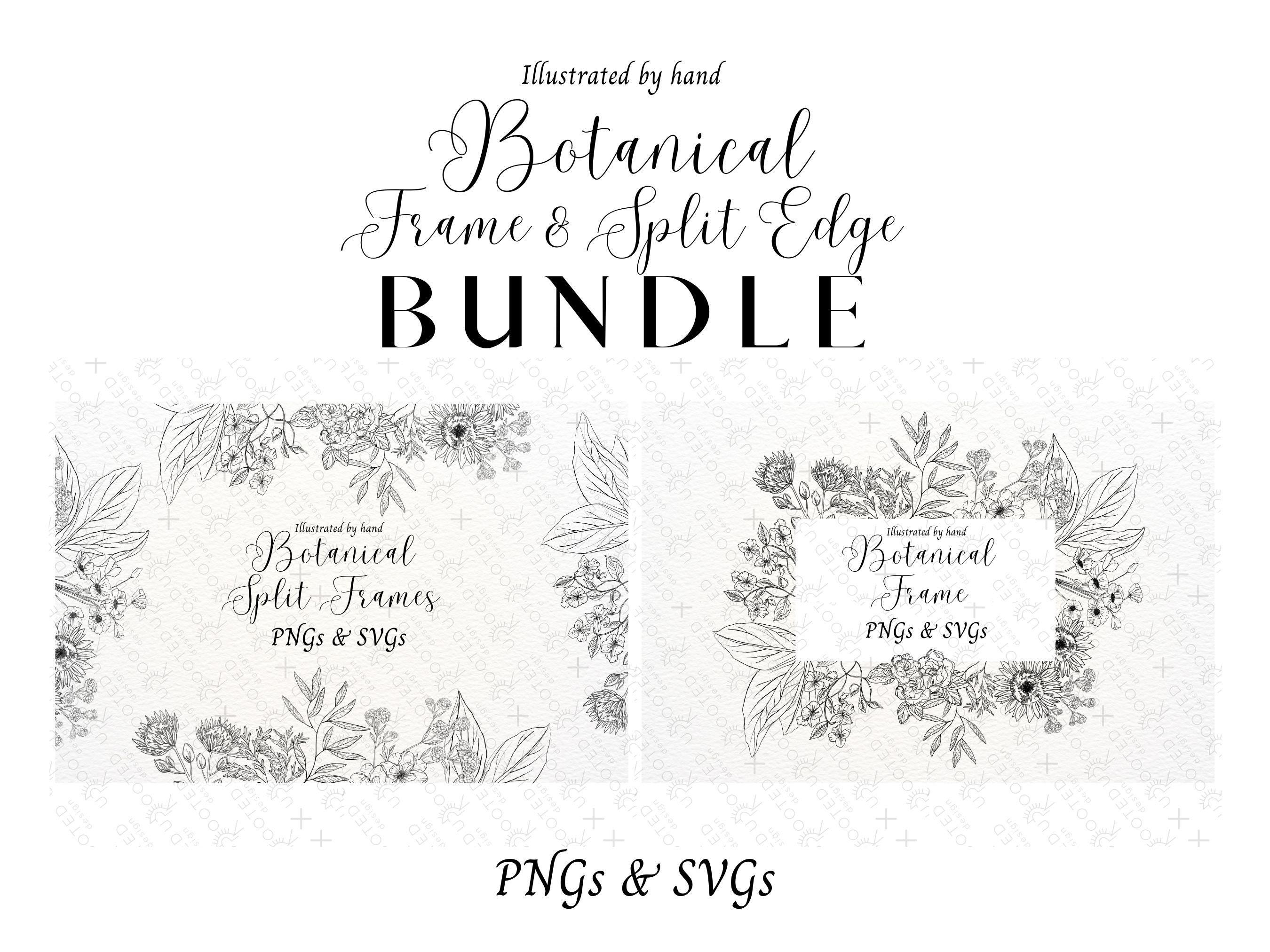 Botanical SVG PNG BUNDLE Line Art Botanical Frame & Split Frame Floral ...