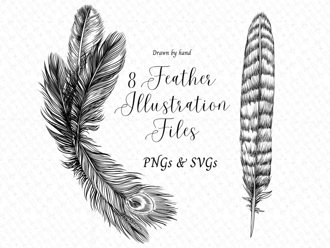 Feather Svg Feathers Svg Feather Clipart Feather Svgs Feather Vector Feathers Vector