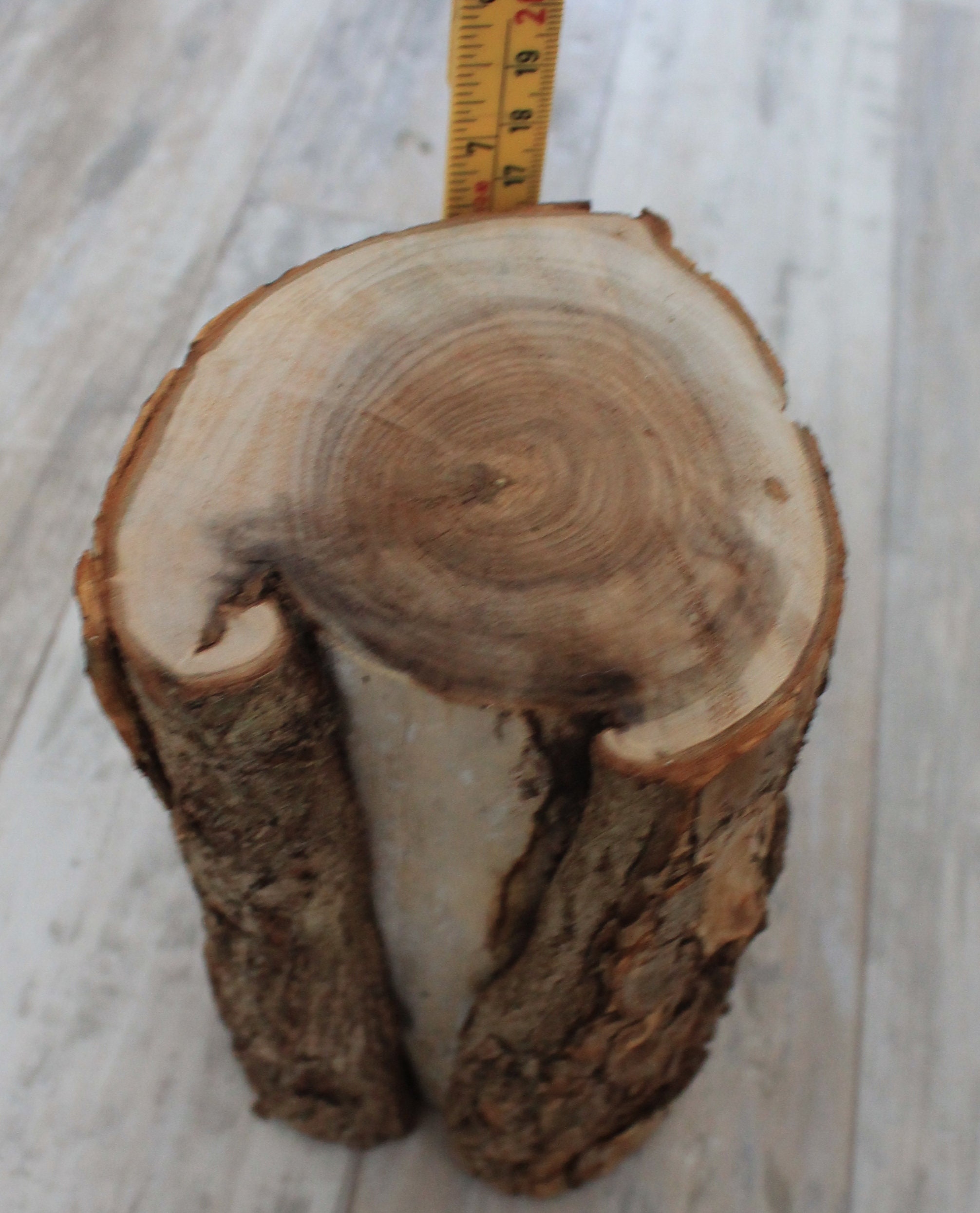 Natural Willow Wood Stump: Rustic Home Decor, DIY Crafts (1pcs) - Etsy