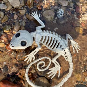 Animal Skeleton Decor Skeleton Prop Faux Animal Skeleton Halloween ...