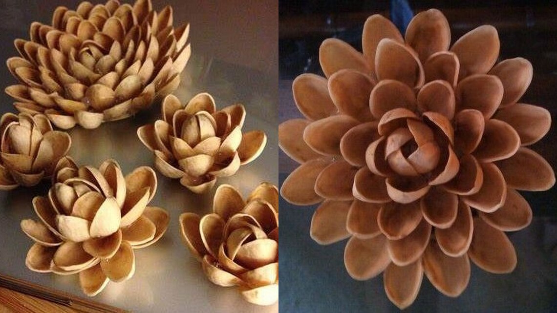 Pistachio Shells for Craft Vase Fillers Natural Craft Supplies 100/200 ...