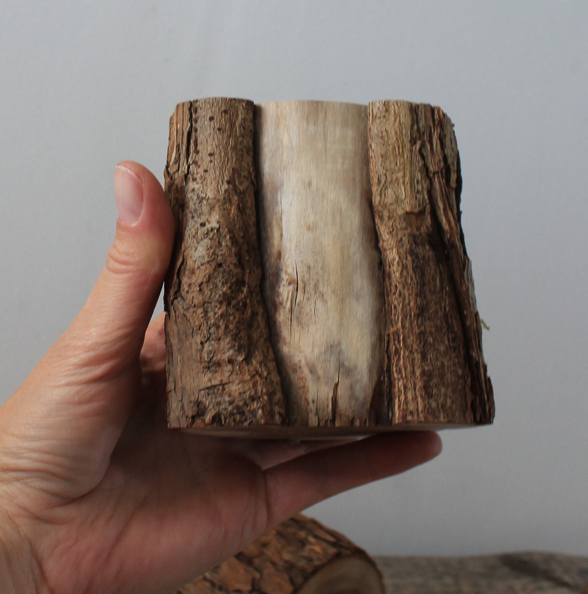 Natural Willow Wood Stump: Rustic Home Decor, DIY Crafts (1pcs) - Etsy