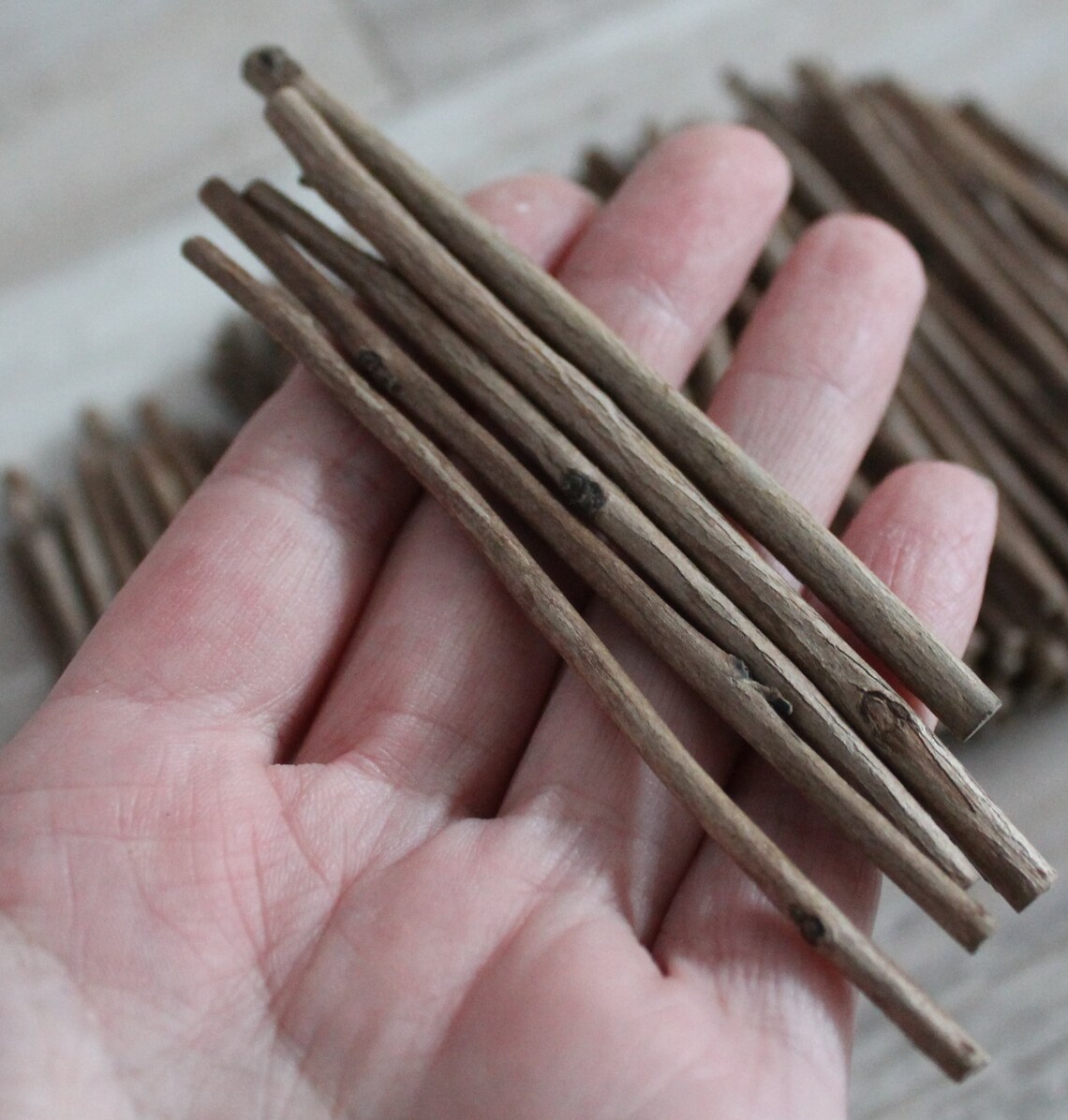 Natural Wood Stick Decorative Twigs Rustic Tree Branches 100ps - Etsy