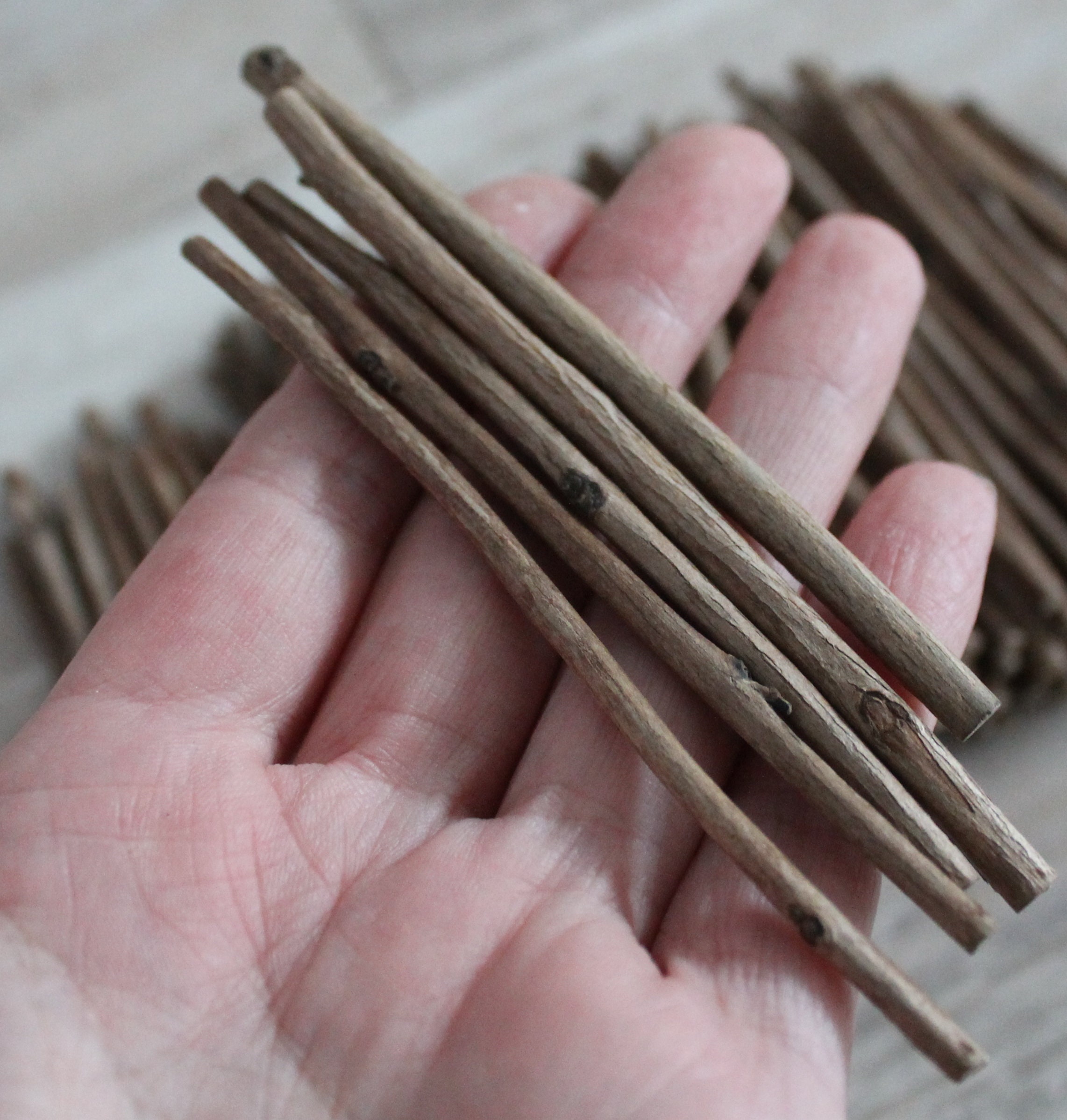 Natural Wood Stick Decorative Twigs Rustic Tree Branches 200ps - Etsy
