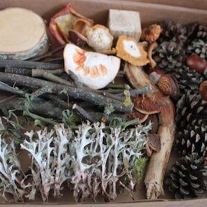 Natural Craft Supplies: Woodland Forest Finds Kit - Etsy