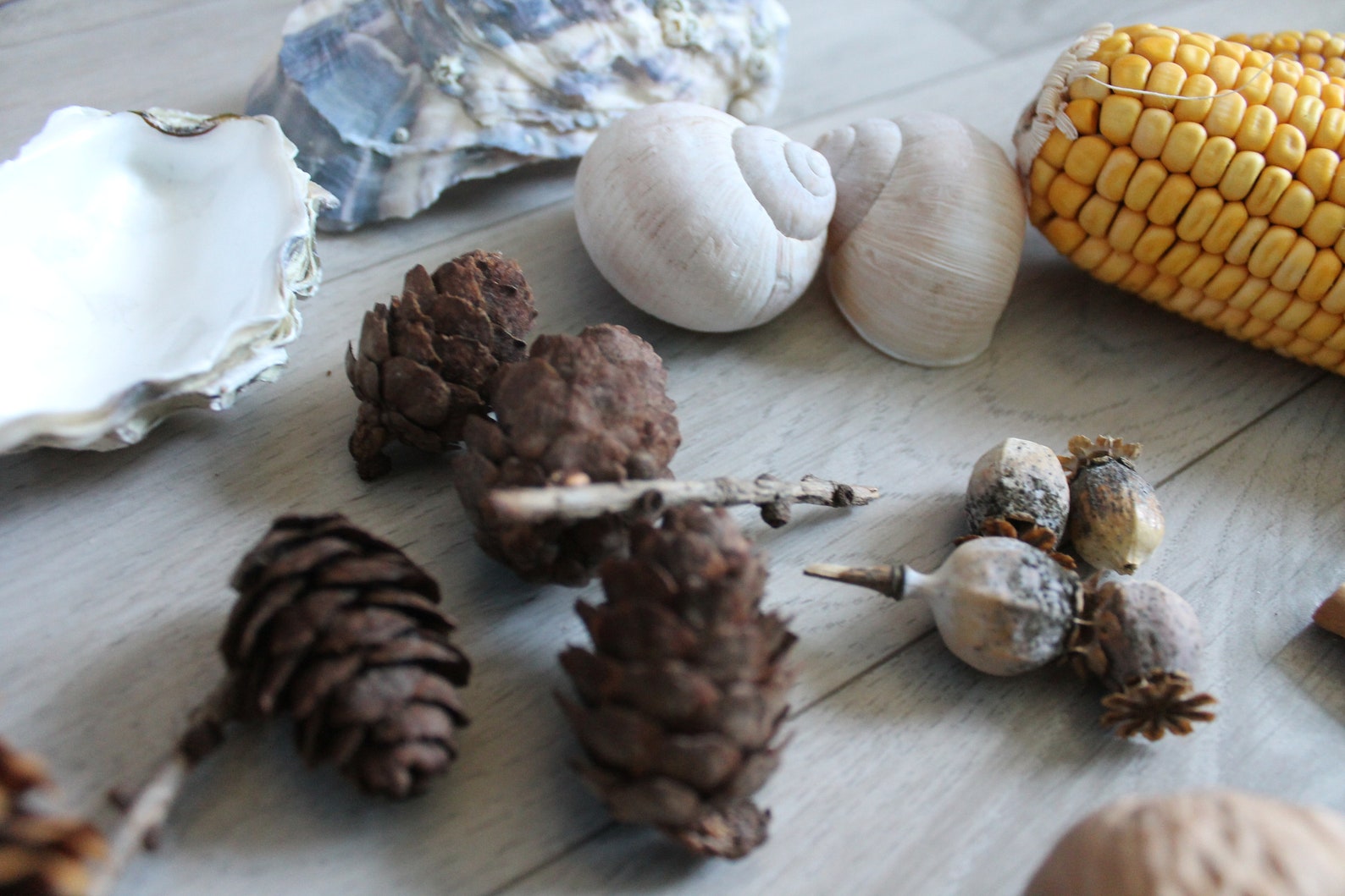 Natural Sensory Bin: Forest Finds, Kids Nature Study, Rustic Decor ...