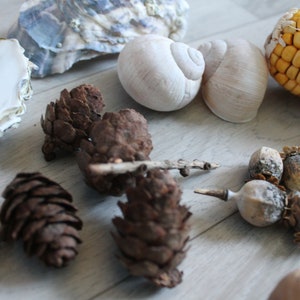Natural Sensory Bin: Forest Finds, Kids Nature Study, Rustic Decor ...