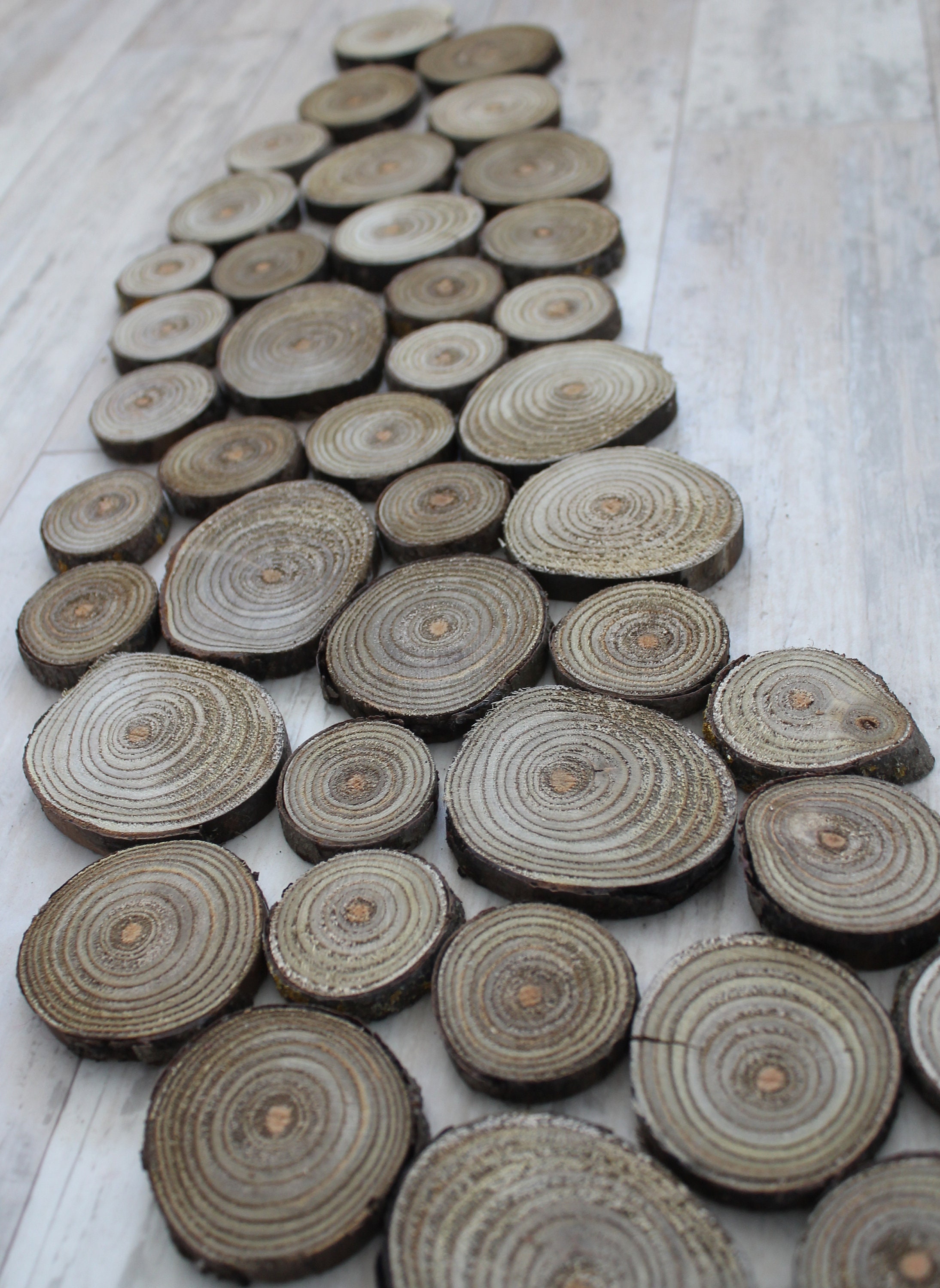 Wood Rounds Wood Slices Sumac Log Slice Wood Pieces Wood Slab - Etsy