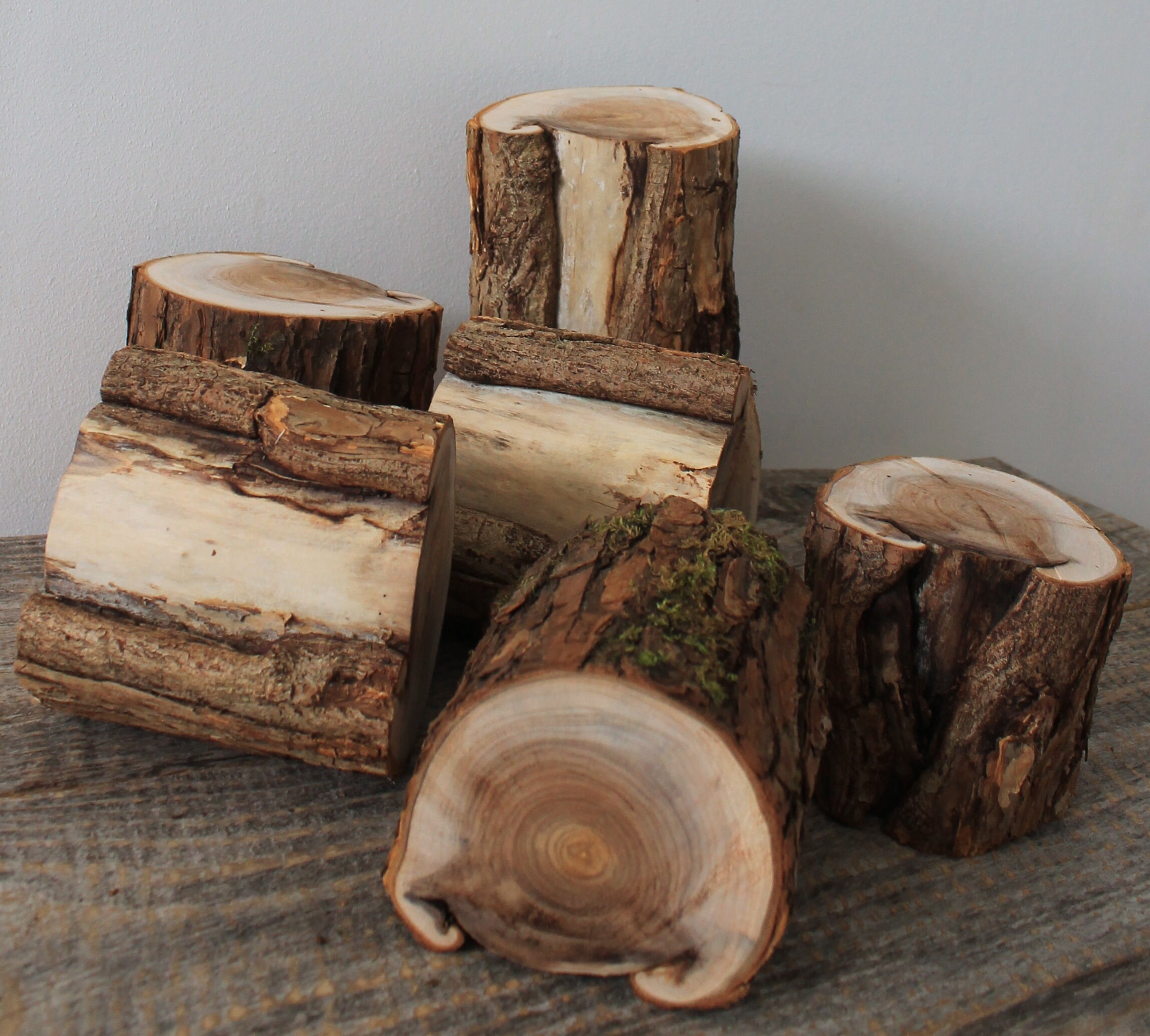 Natural Willow Wood Stump: Rustic Home Decor, DIY Crafts (1pcs) - Etsy