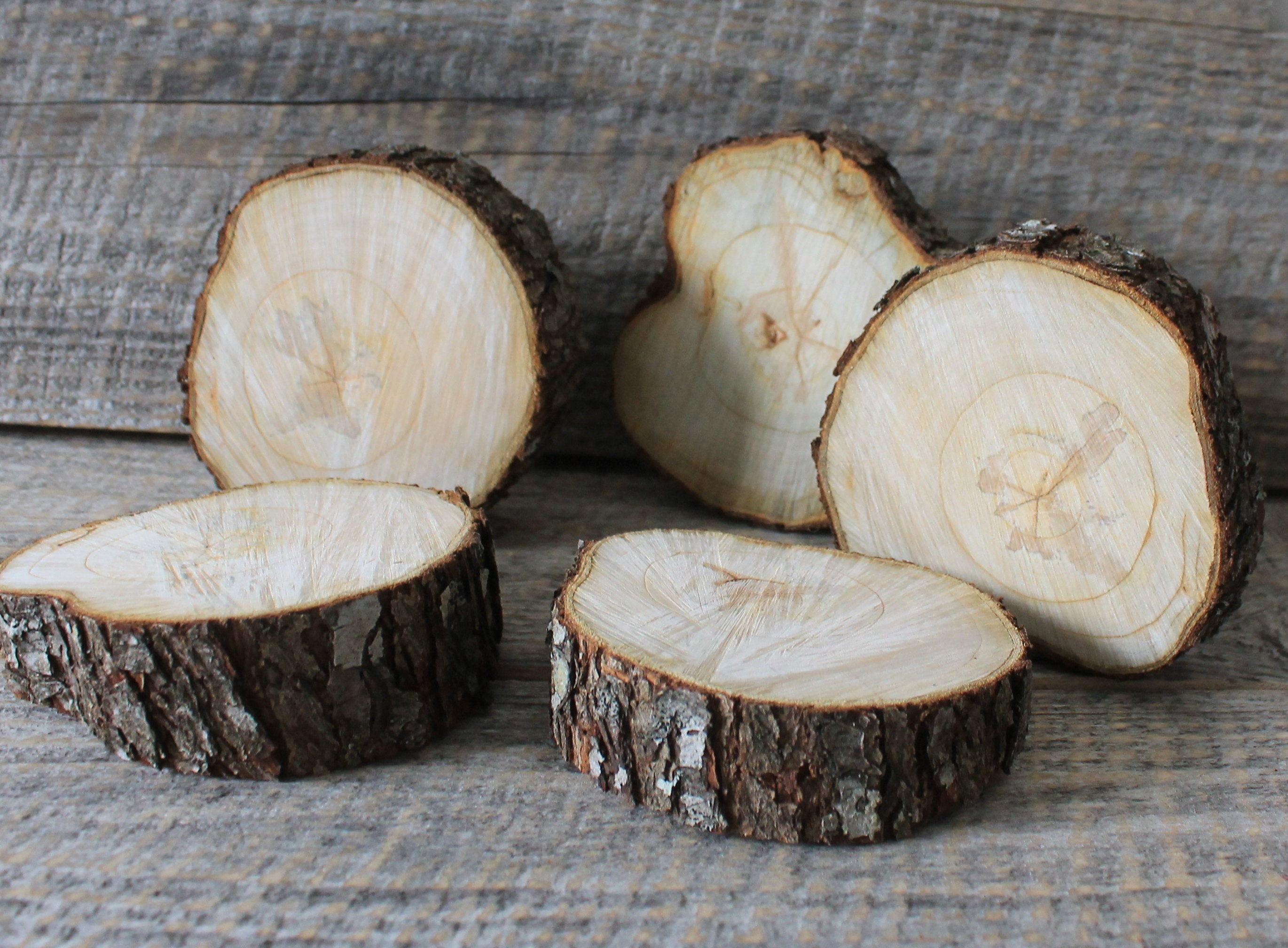 Wood Slab Wood Rounds Natural Wood Slices for Craft Do It Yourself ...