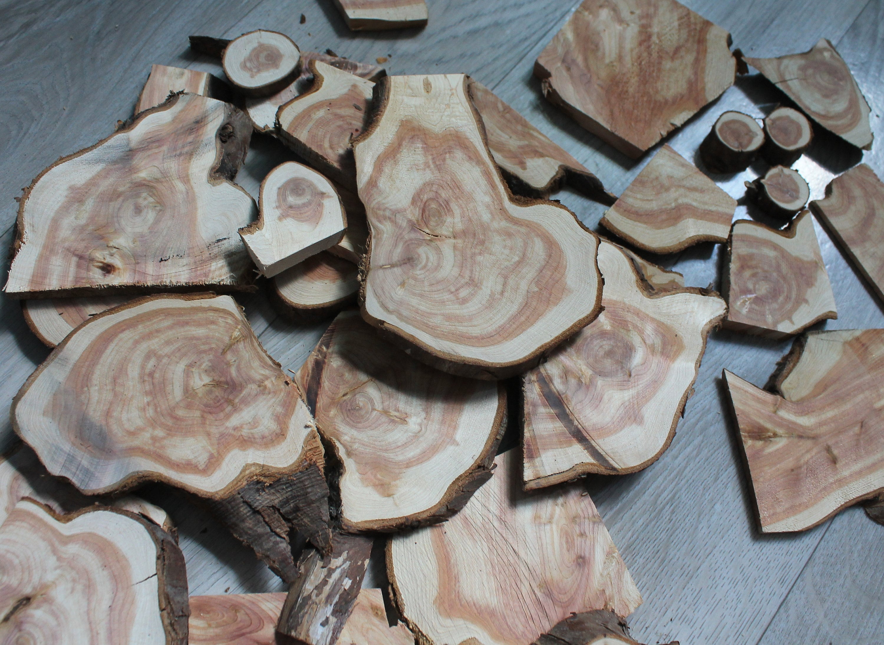 Juniper Tree Slices Wood Scraps Natural Craft Supplies Wood Pieces Diy ...