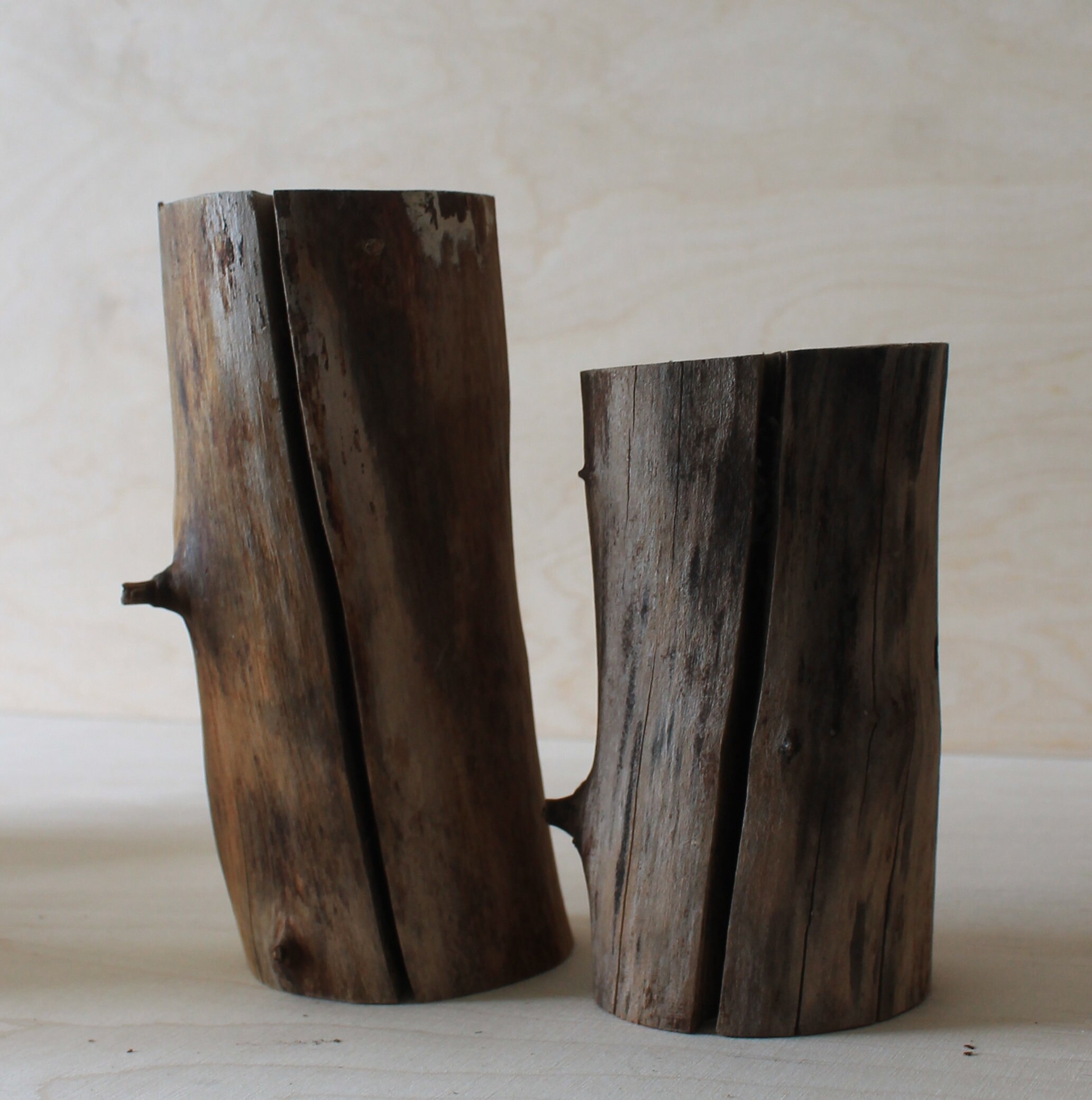 Wood Log Willow Branches Natural Craft Supplies Wood Stump Diy Kits for ...