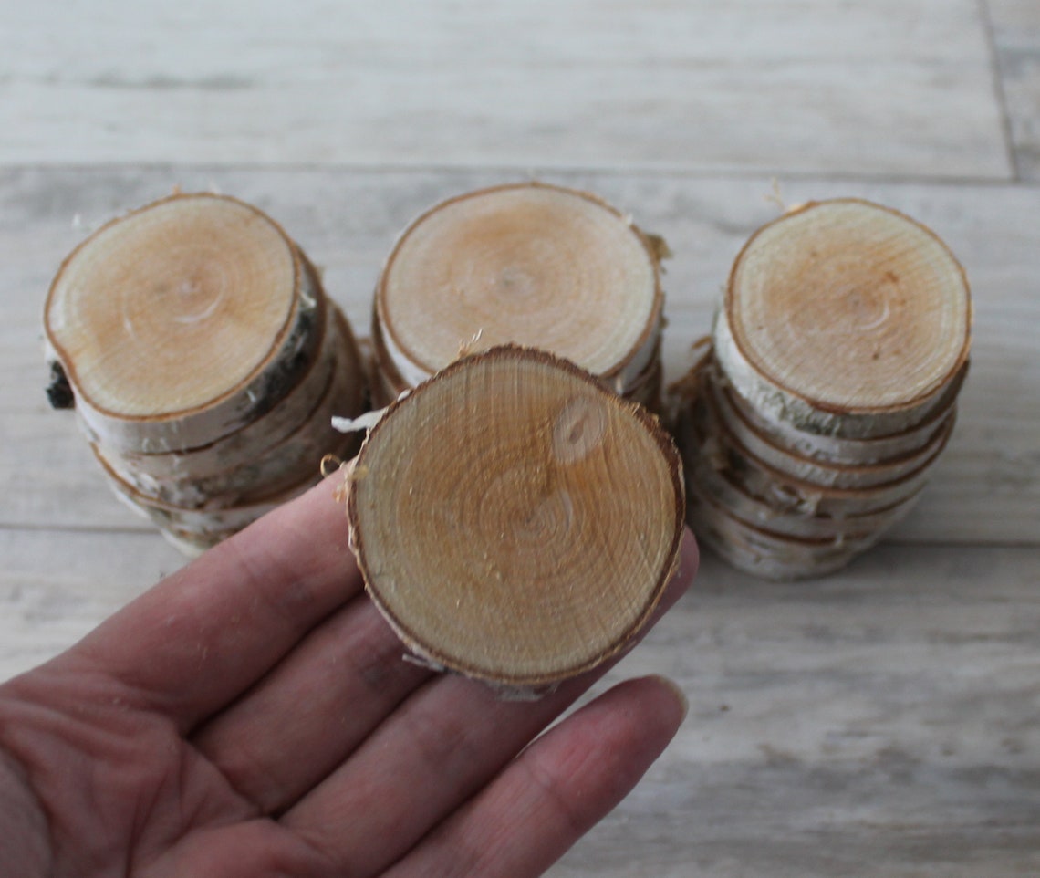 Birch Slices Small Wood Rounds Craft Wood Pieces Tree Rounds for DIY ...