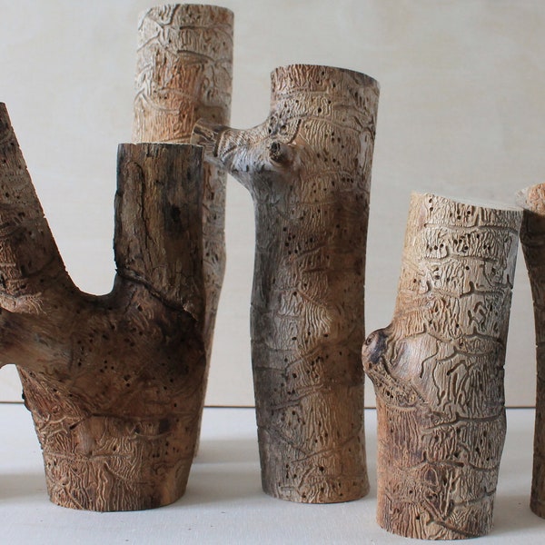 Wood Branches - Etsy