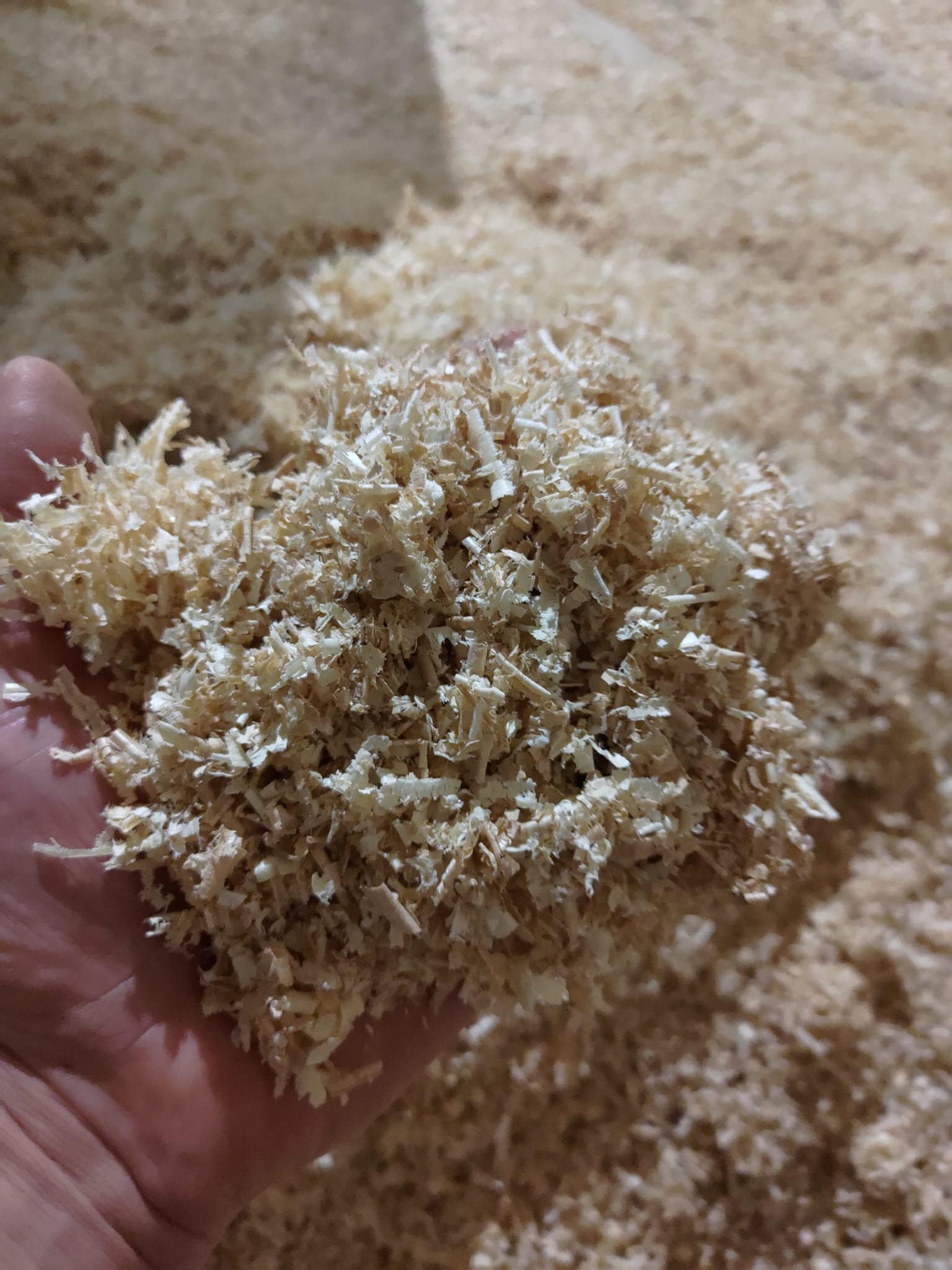 Natural Wood Sawdust Wood Dust Eco Friendly Fire Starters Organic Wood ...