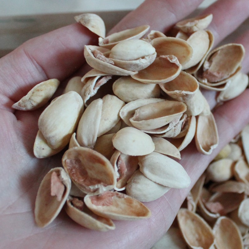 Pistachio Shells for Craft Vase Fillers Natural Craft Supplies 100/200 ...