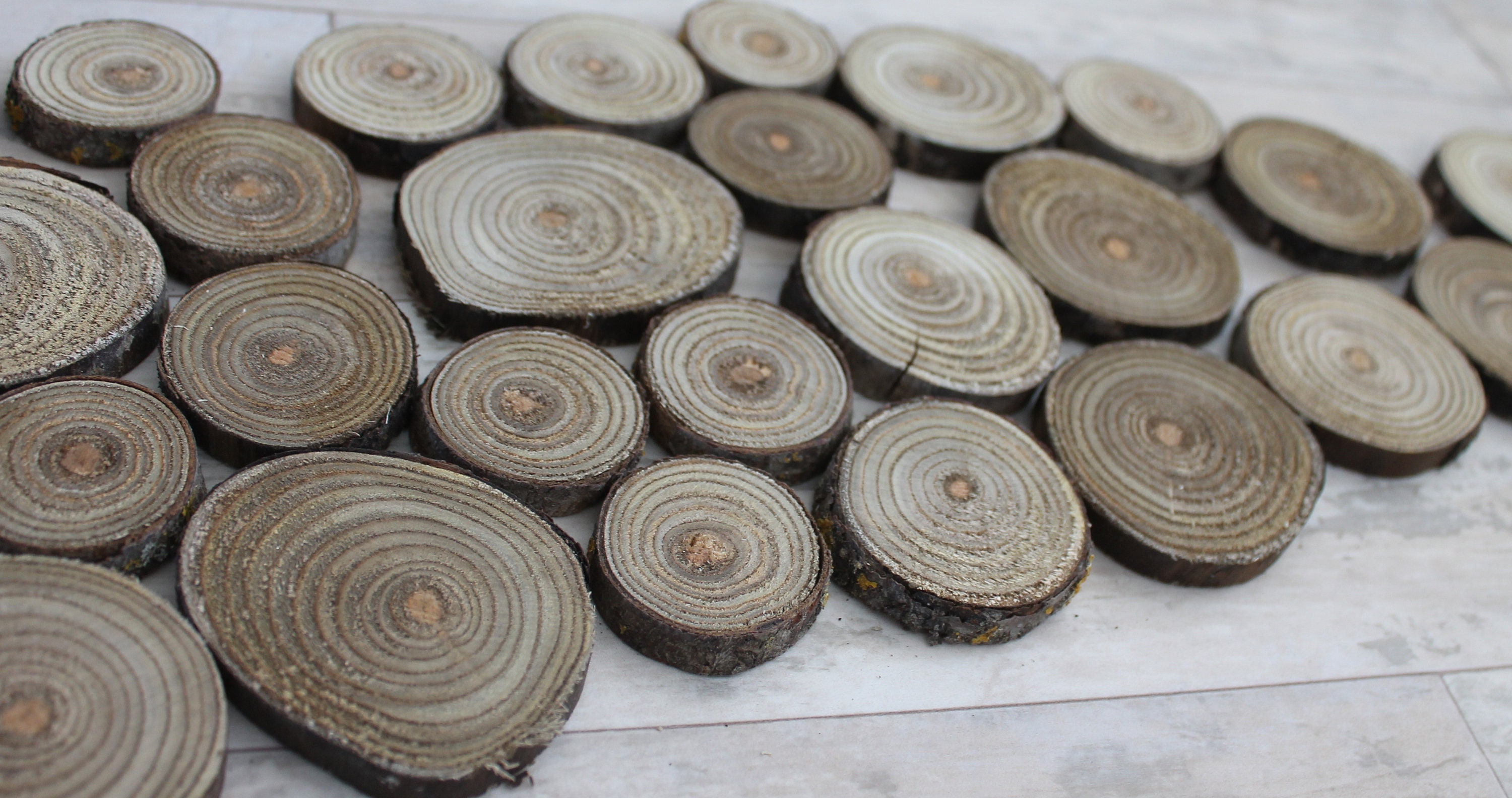 Wood Rounds Wood Slices Sumac Log Slice Wood Pieces Wood Slab Wood ...
