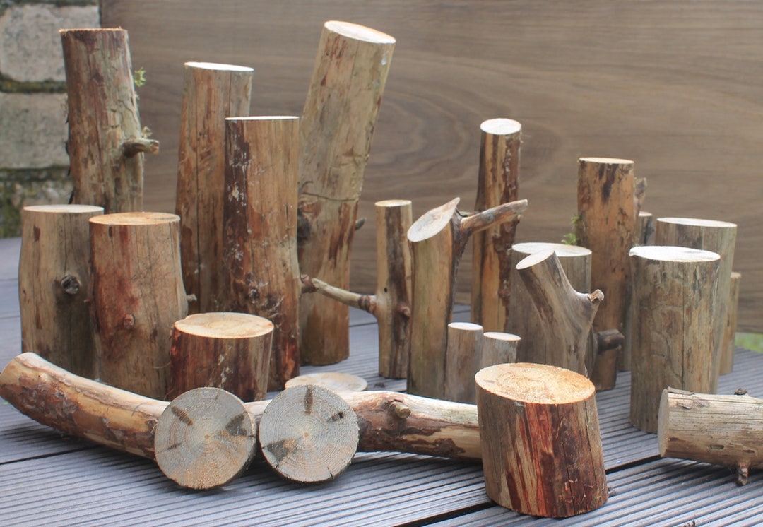 Wood Log Natural Craft Supplies Wood Branches Diy Kits for Adults - Etsy