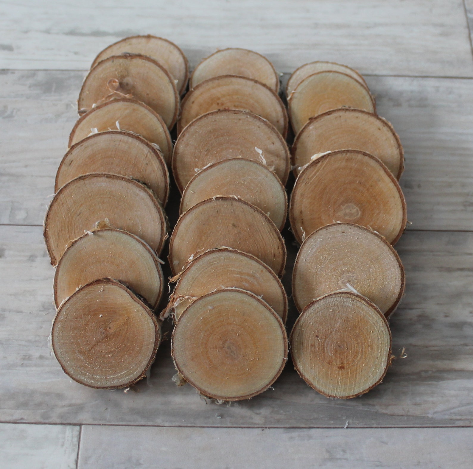 Birch Slices Small Wood Rounds Craft Wood Pieces Tree Rounds for DIY ...